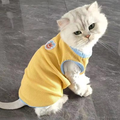 猫咪秋季防掉毛外出时尚背心