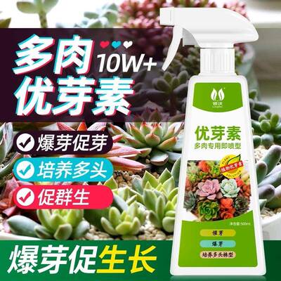 优芽素多肉专用促多头侧芽细胞分裂素促芽促生长催芽矮胖素爆芽素