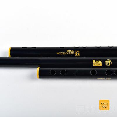 高档泛响 PPRATICE 修系列HIS树脂 训练 级C笛G