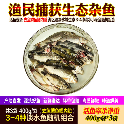 产地直发淡水鱼小杂鱼活鱼现杀