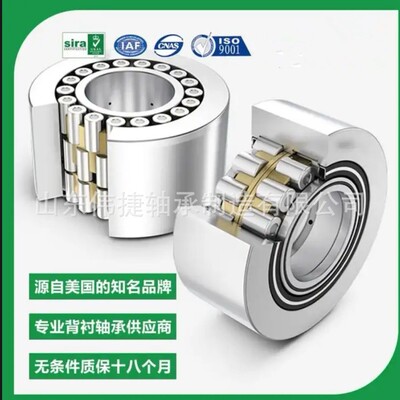 日本进口轴承高承载BNPF102256