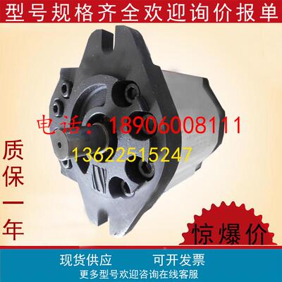 意大利进口SETTIMA伺服油泵G47V050FSAEBT13ODLV花键轴螺杆泵
