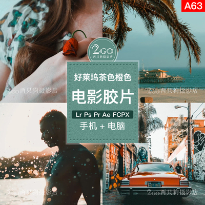 lightroom手机版LR预设pr视频lut茶橙色胶片人像ins调色ps滤镜app