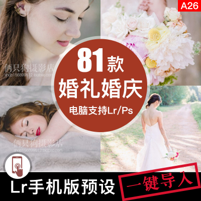 手机版lr预设婚礼人像跟拍调色Ps滤镜app网红ins摄影布场风景日系