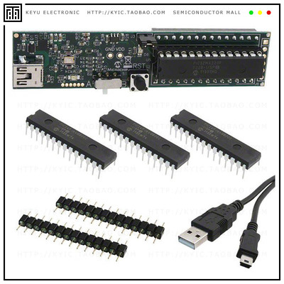 DM330013-2【MICROSTICK II DSPIC33/24FJ/H/32】