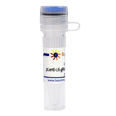 pLenti-U6-gRNA-Cas9-P2A-EGFP-Hygro 碧云天 D8309
