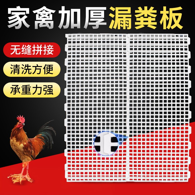 鸡用漏粪板鸡舍地网垫板鸡粪鸭鹅塑料漏粪网养殖网格养鸡设备用品