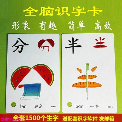 全脑记忆识字卡片象3-6岁
