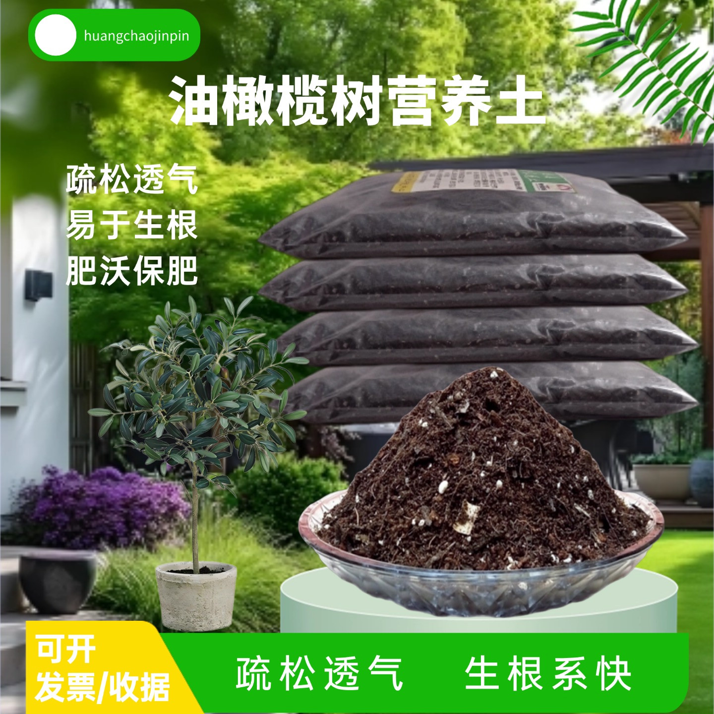油橄榄树盆栽营养花土壤疏松室内西班牙地中海绿植育苗专用种植土