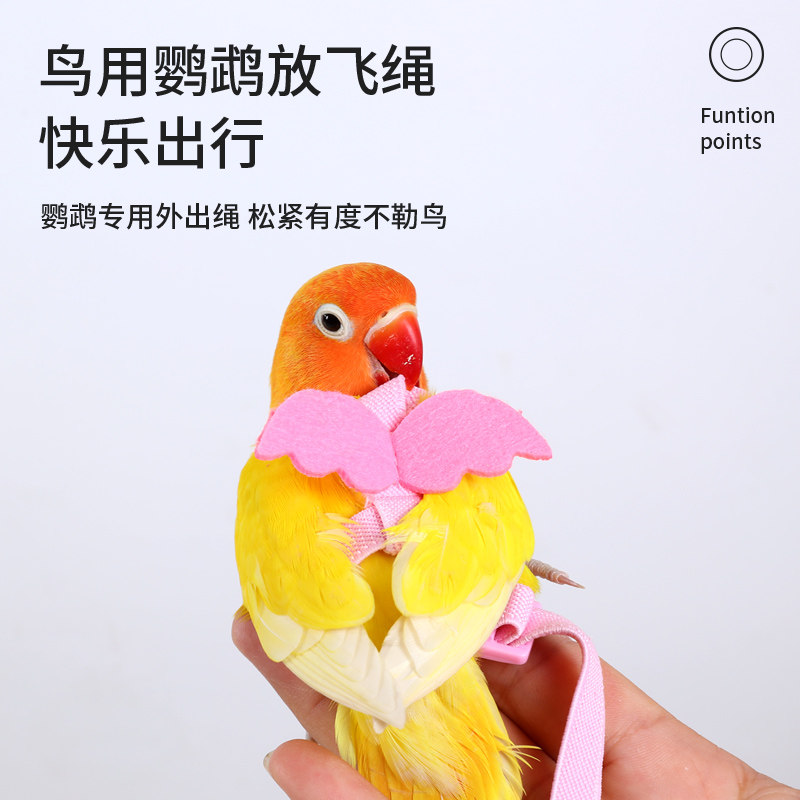 虎皮玄凤牵引绳小鸟外出绳鸟用放飞绳飞行外出背带遛鸟用品