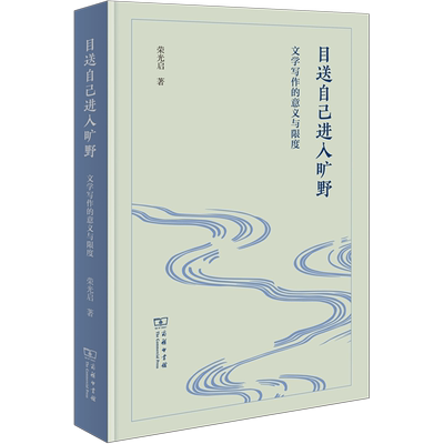 目送自己进入旷野 文学写作的意义与限度 荣光启 著 文学理论/文学评论与研究文学 新华书店正版图书籍 商务印书馆