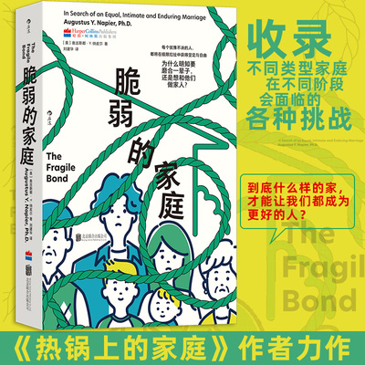 脆弱的家庭 (美)奥古斯都·Y.纳皮尔(Augustus Y.Napier) 著 刘建华 译 心理学经管、励志 新华书店正版图书籍 北京联合出版公司
