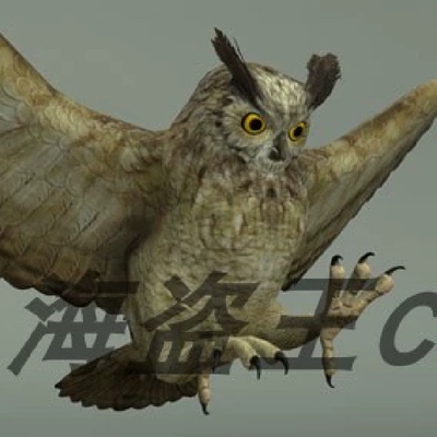 GREAT HORNED OWL 大角鸮猫头鹰角色模型带动画 虚幻5 UE4