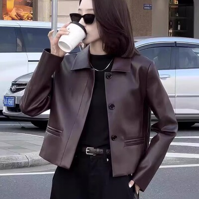 真皮高级感独特绵羊皮皮衣