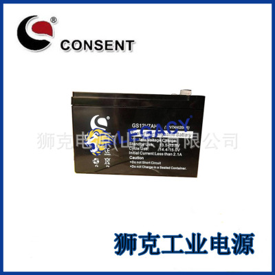 美国CONSENT蓄电池12M80LC/20HR GS12V80AH电梯应急机房配套