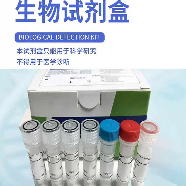猪（Porcine）大豆凝集素（SBA） ELISA检测试剂盒