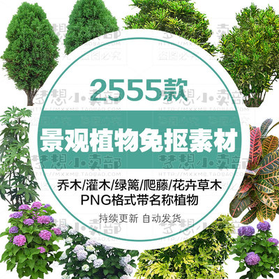 PS园林景观植物PNG免抠树木立面树绿色植物建筑效果图设计素材