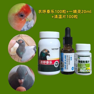 豪翔鸽子鸟鸽友放心之选