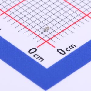 0402CG101J500NT 贴片电容(MLCC)  100pF ±5% 50V  封装：0402