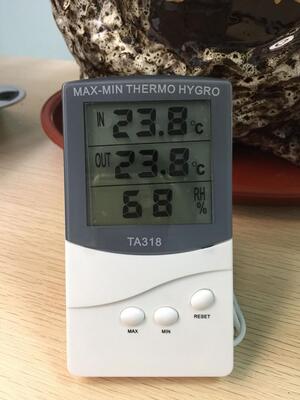 Digital MAX-MIN Thermo Hygro LCD Thermometer Weather