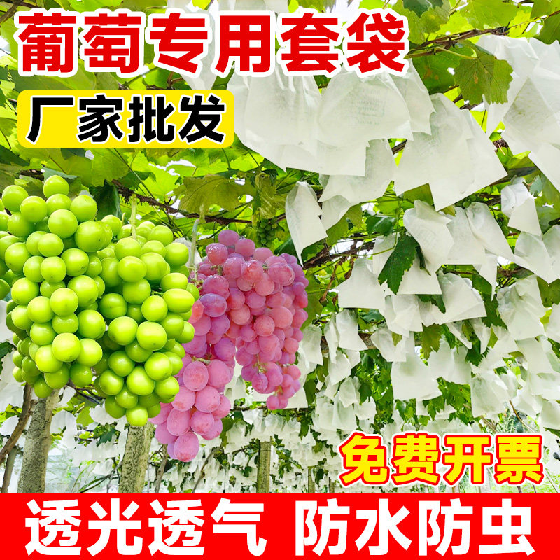 葡萄专用套袋防虫防鸟纸袋水果阳光玫瑰葡萄袋果袋防水透气光神器