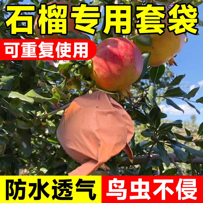 石榴套袋专用果袋葡萄桃子番石榴瓜果防虫防鸟保护袋水果套袋神器