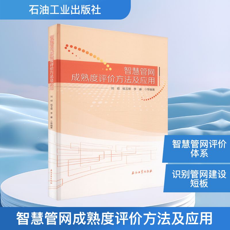 智慧管网成熟度评价方法及应用 刘硕 等 编著 编 石油 天然气工业专业科技 新华书店正版图书籍 石油工业出版社