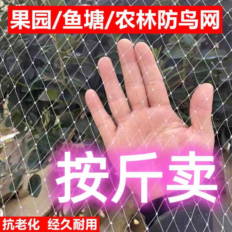 尼龙防鸟网天网驱鸟网果树樱桃葡萄果园农田养殖鱼塘大棚按斤卖