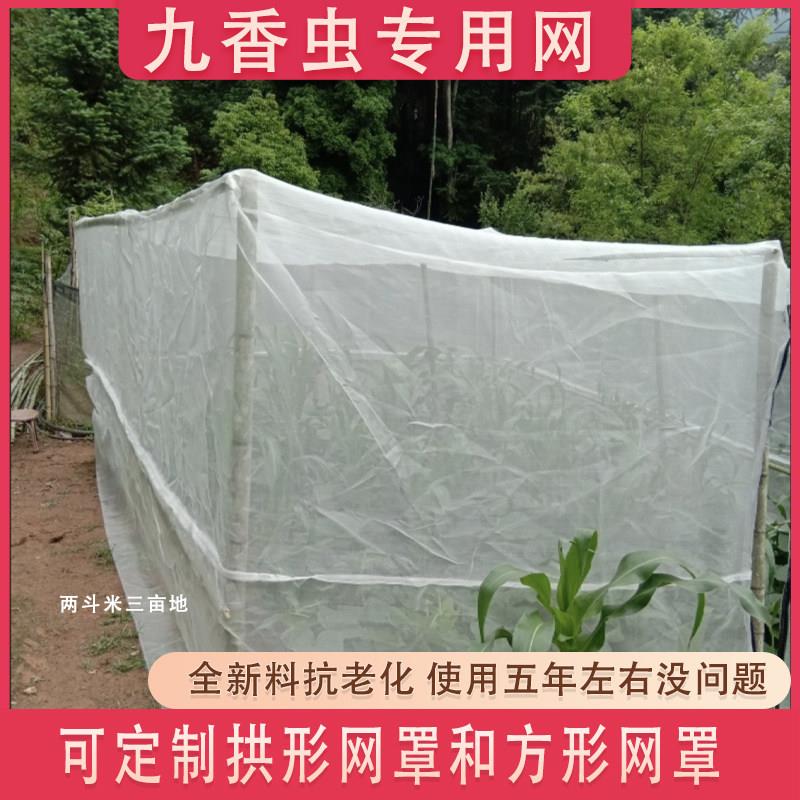 九香虫养殖网方形网罩拱形网罩大棚抗老化农用防虫网