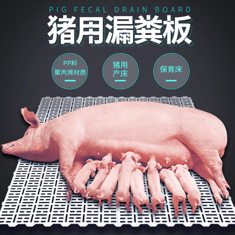 猪用漏粪板母猪产床配件仔猪保育床鸡牛羊兽用塑料接粪板猪圈地板