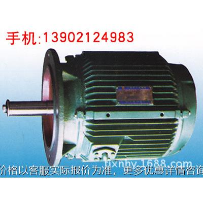 200-4系列冷却塔专用三相异步电动机/天/
