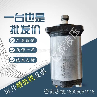 土耳其BLUEASCEND齿轮泵