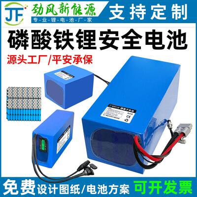 定制全新12V100AH48V50ah60V大容量电动三轮车安全磷酸铁锂电池组