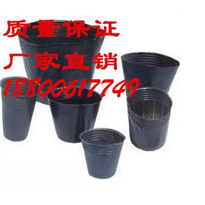 营养钵美植袋育苗袋营养袋育苗杯营养杯多肉育苗器穴盘育苗盘花盆