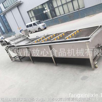 多药功能菜清洗净机 全自动蔬菜洗机 去农残留不IFV锈钢水清果清