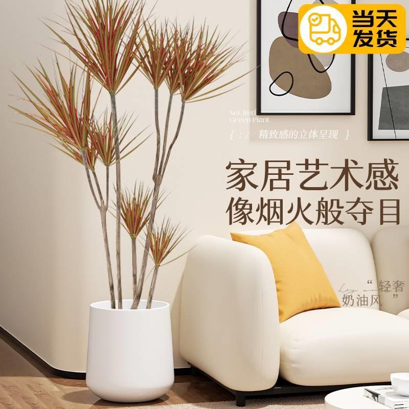 千年木大盆栽客厅绿植七彩铁龙血树落地式室内大型植物造型电视柜