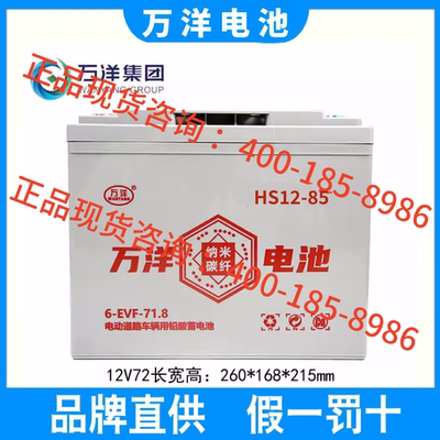6EVF-100/110万洋电瓶电动车电池
