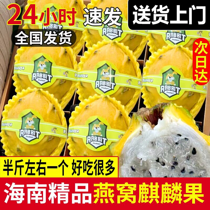 正宗海南燕窝果新鲜麒麟果现摘现发一级当季大果孕妇黄皮火龙果