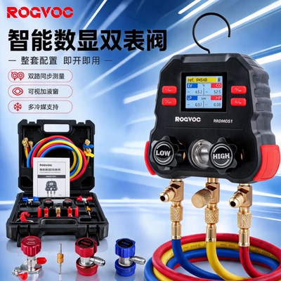 ROGVOC智能数显表RV-10Pro