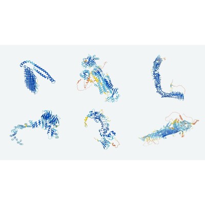 alphafold蛋白质单体二聚体三聚体多聚体蛋白结构预测同源建模