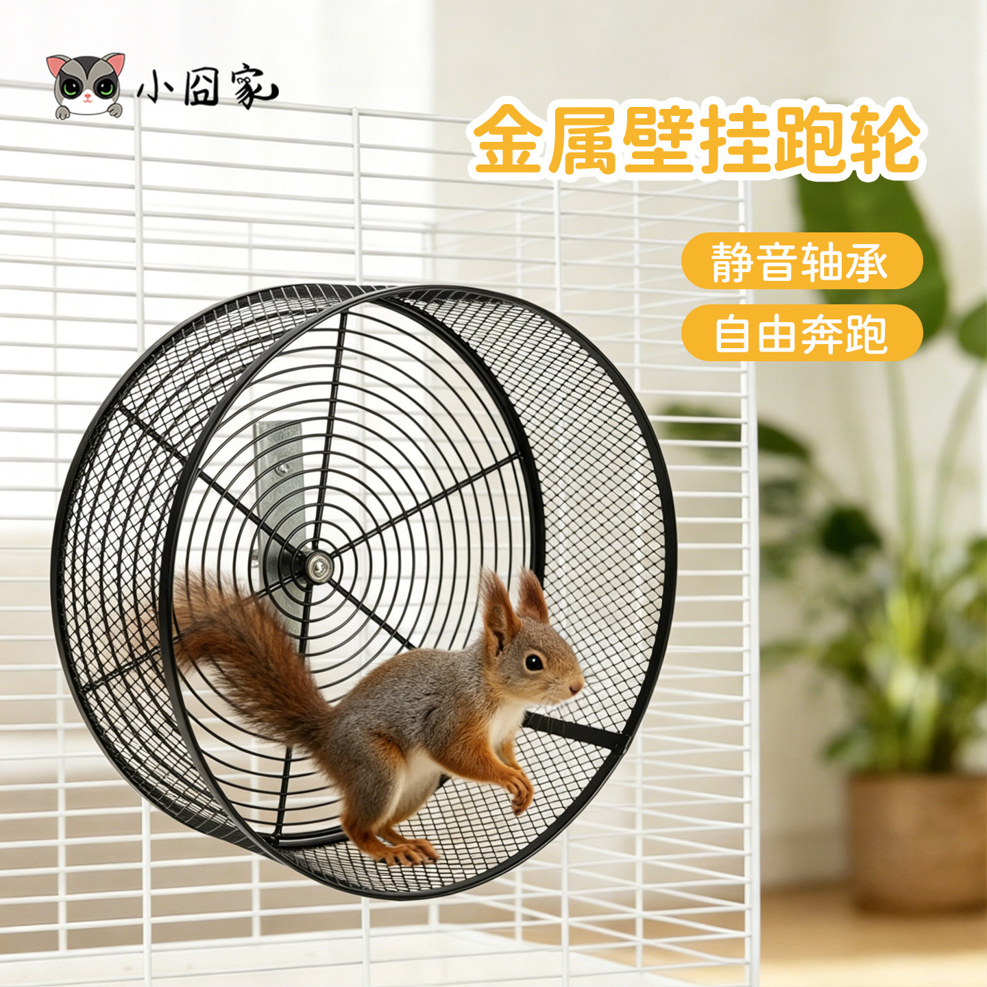 龙猫刺猬松鼠蜜袋鼯超大号静音金属轴承磨爪磨指甲跑轮花枝鼠达洋