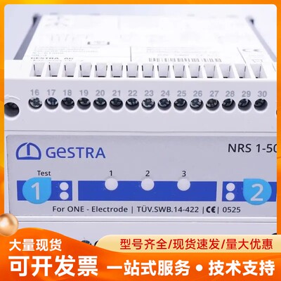 GESTRA Niveauschalter NRS 1-5