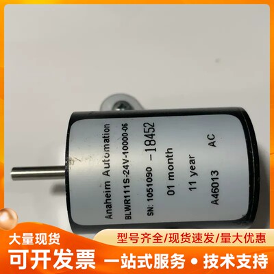 BLWR111S-24V-10000-06