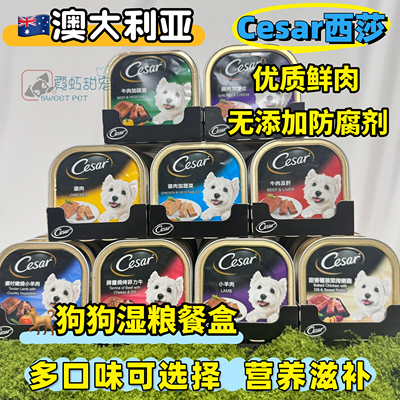 Cesar西莎餐盒湿粮100g