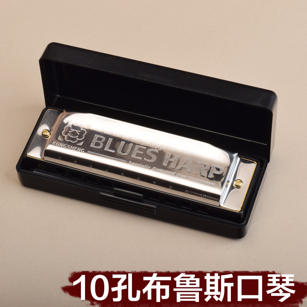 布鲁斯C调10孔口琴成人儿童初学零基础入门便携吹奏盒装小乐器