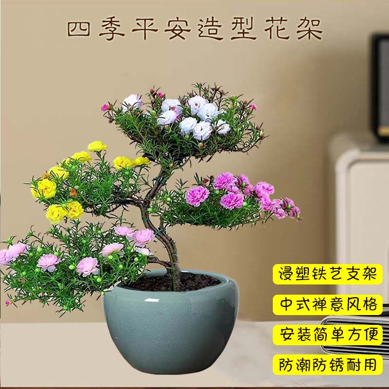 太阳花造型支架花支撑架浸塑铁艺专用展示植物架创意园艺阳台花架