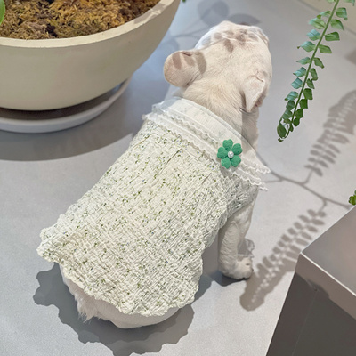 狗狗狗狗裙子宠物衣服春夏装