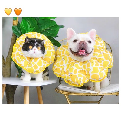 伊丽莎白圈猫狗项圈宠物绝育脖圈皮肤病防舔防抓手术颈圈保护套圈
