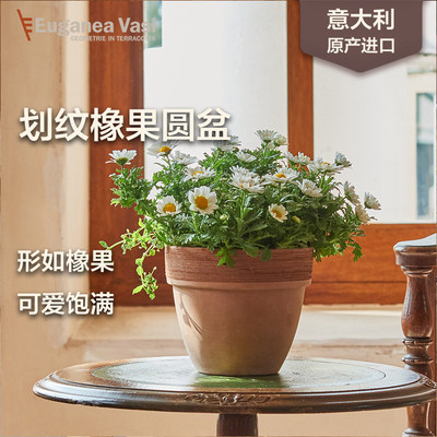 虹越EV划纹橡果圆盆意大利进口陶土花盆花卉绿植球根植物种植粗陶