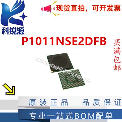 NXPP1011NSE2DFB芯片